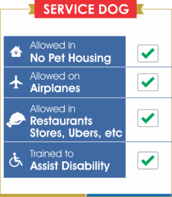 Service Dog and Emotional Support Animal Registration | Register your ...